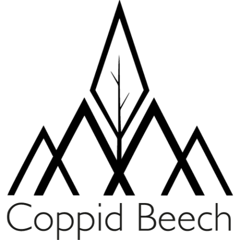 Sunday Vibes: Aspen Lounge with Matt Harman | Coppid Beech Hotel